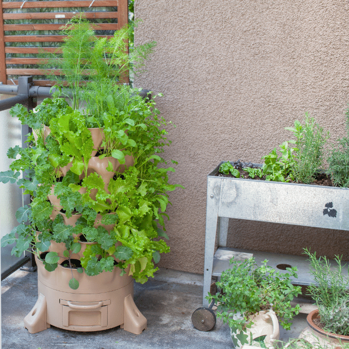 The Container Gardener’s Guide: Tips for a Blooming Success – Let's ...
